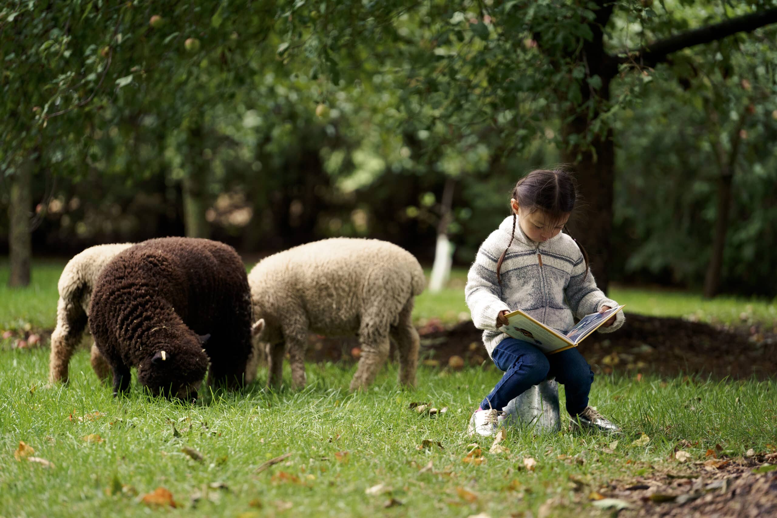 How To End Any Envy Infecting Hearts & Ministry - Ann Voskamp