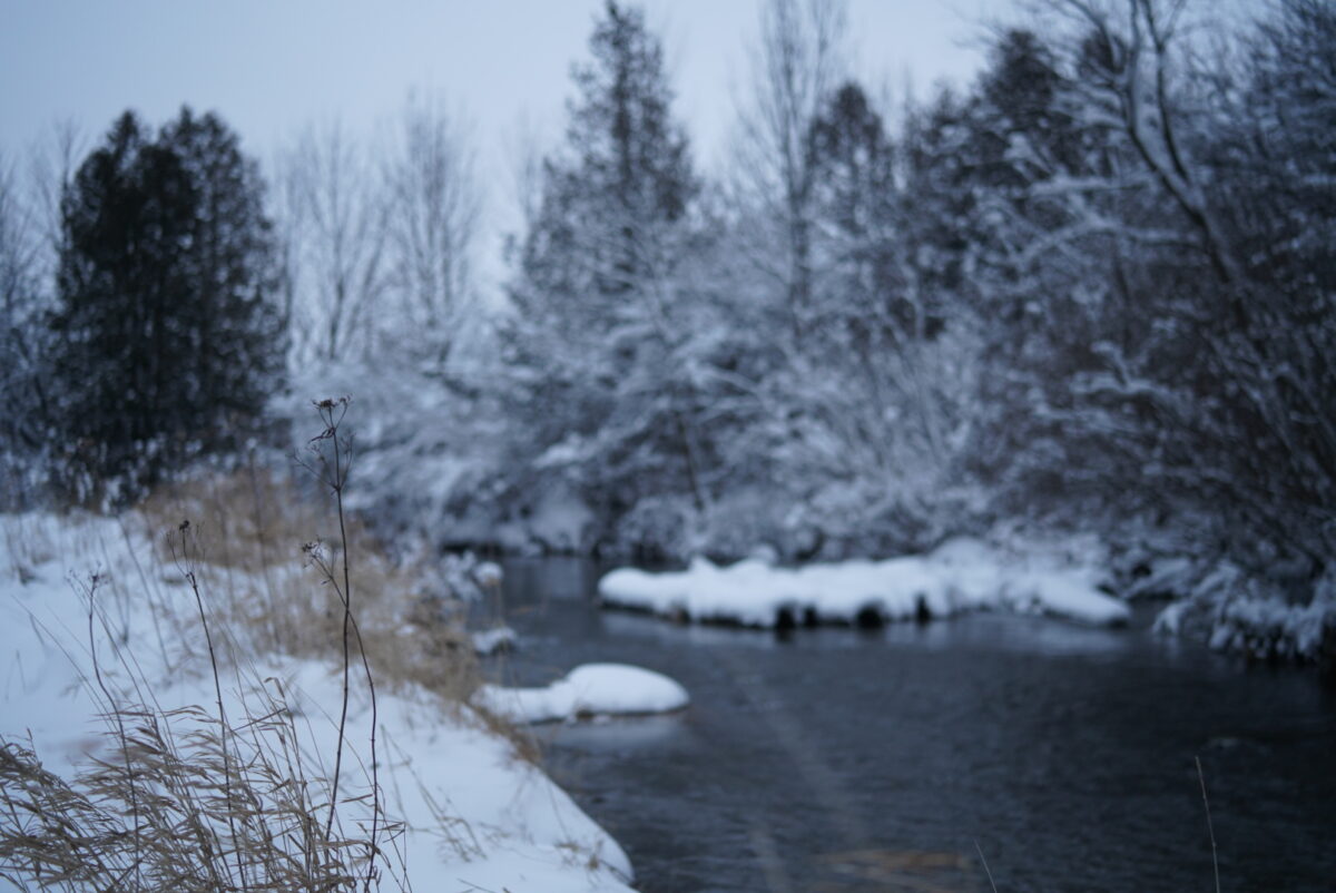 How To Find Joy On Hard Days: Free Joy Calendar 2026 - Ann Voskamp